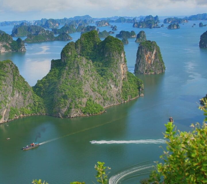 A River Runs Through It: The History, Wildlife and Culture of the ...