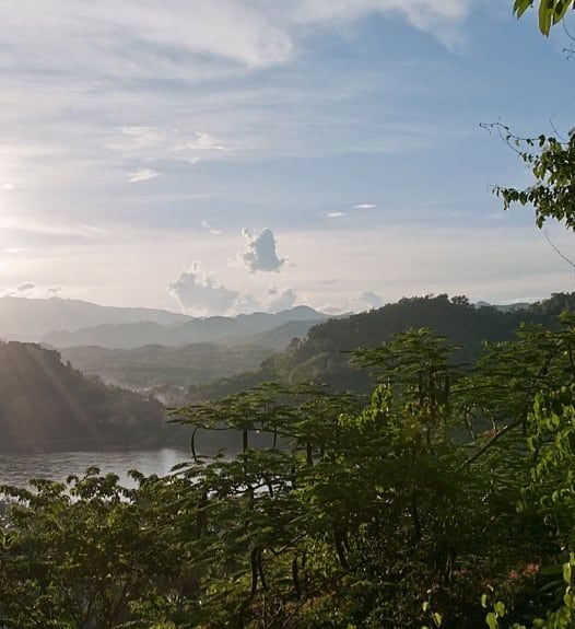 A River Runs Through It: The History, Wildlife and Culture of the ...
