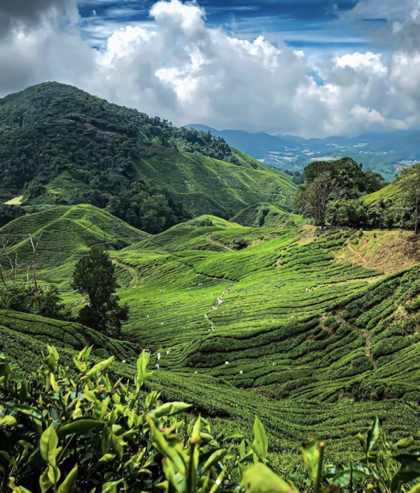 Culture & Heritage Sites in Malaysia & Myanmar | Southeast Asia Travel