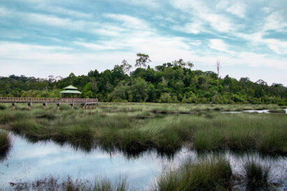 Best Spots for Ecotourism in Brunei | Visit Southeast Asia