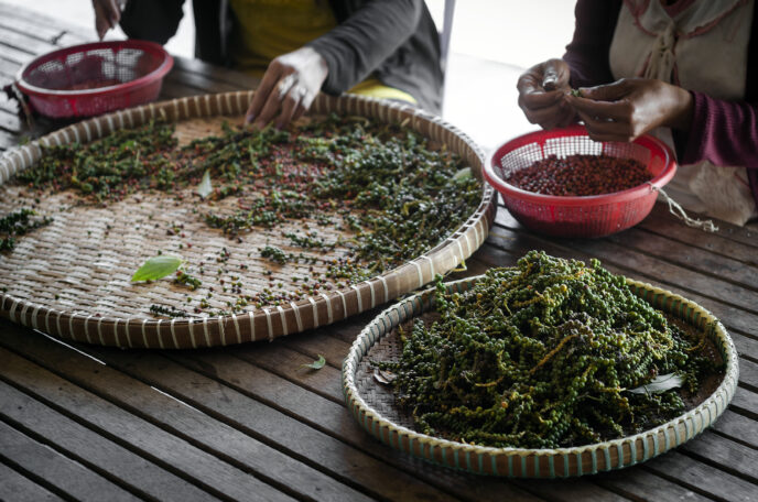 Kampot Pepper | Southeast Asia Travel